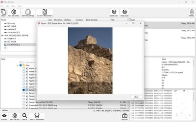 Data Rescue (Windows) v6