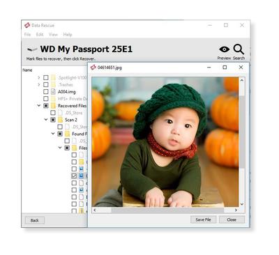Data Rescue (Windows) v6